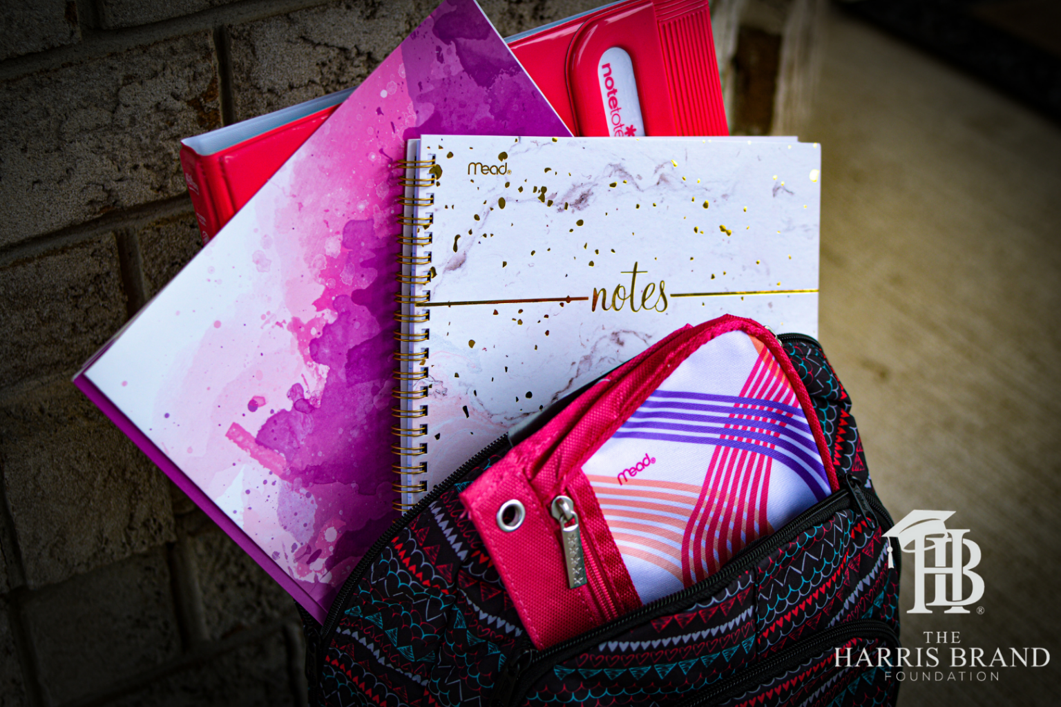 Initiatives – The Harris Brand Foundation